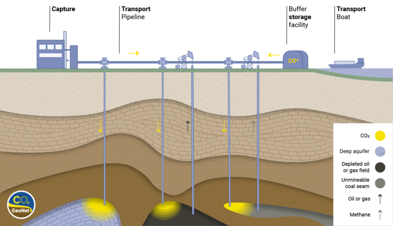 Top Carbon Capture Stocks: From Emissions to Assets